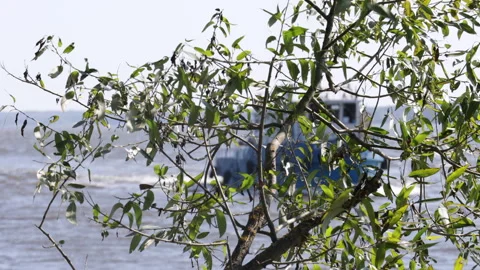 See Background Stock Videos – Royalty-Free HD & 4K Videos