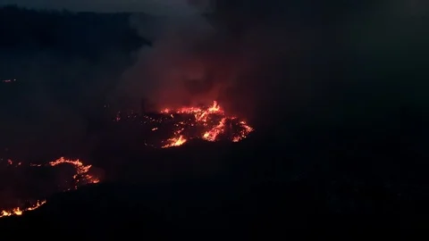 Bush Night Stock Videos – Royalty-Free HD & 4K Videos | Pond5