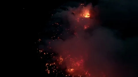 Burning Bush Stock Video Footage | Royalty Free Burning Bush Videos | Pond5