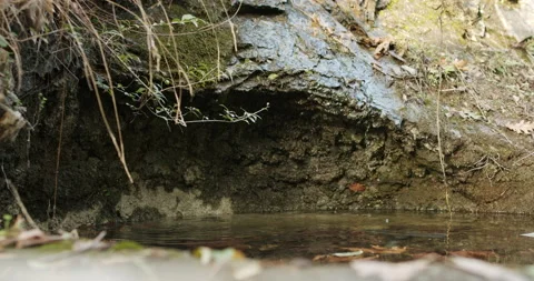 Natural Cave with Dripping Spring Water ... | Stock Video | Pond5