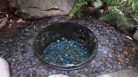 Natural clear spring water bubbling up f... | Stock Video | Pond5