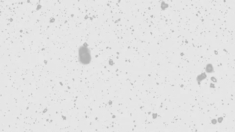 Natural falling snow - alpha channel | Stock Video | Pond5