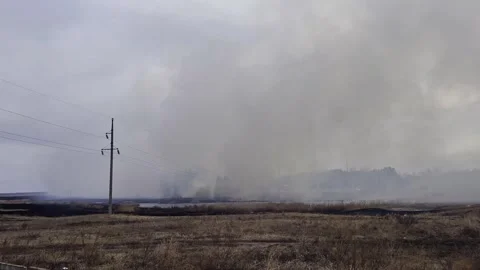 Natural fire in the field. Fire and smok... | Stock Video | Pond5