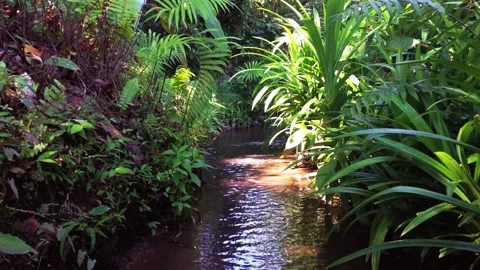 Fresh Water Channel Stock Videos – Royalty-Free HD & 4K Videos | Pond5