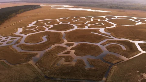 Natural lake maze for birds. UFO kind of... | Stock Video | Pond5