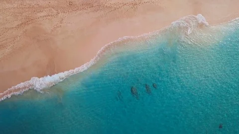 Tropical Beach Loop Stock Videos – Royalty-Free HD & 4K Videos | Pond5