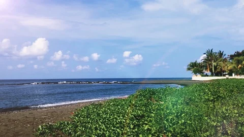 Natural Motion Beach View With Fresh Gre... | Stock Video | Pond5