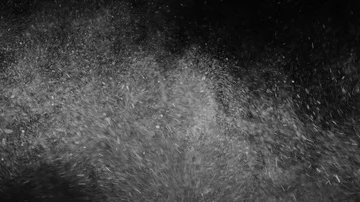 Natural Organic Dust Particles Float On ... | Stock Video | Pond5