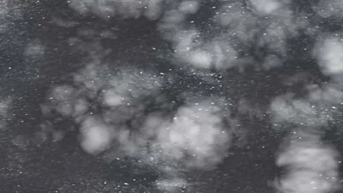 Natural Organic Dust Particles Floating ... | Stock Video | Pond5