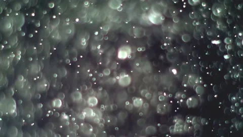 Natural Organic Dust Particles Floating ... | Stock Video | Pond5