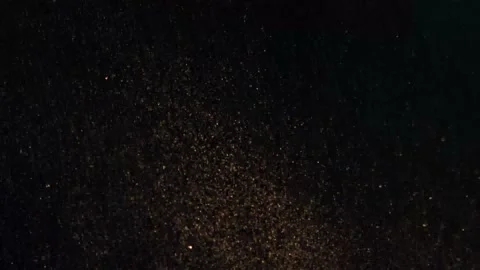 Natural Organic Dust Particles Floating ... | Stock Video | Pond5