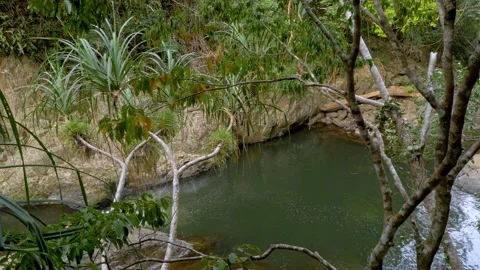 Natural Rock Pools At Tropical Forest Of... | Stock Video | Pond5