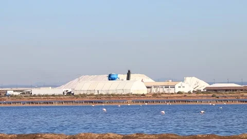 Spice Del Stock Videos – Royalty-Free HD & 4K Videos | Pond5