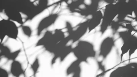 Natural shadows overlay on texture of wa... | Stock Video | Pond5