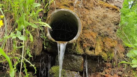 Natural spring. Spring water flows from ... | Stock Video | Pond5