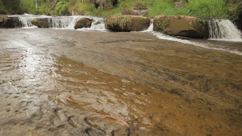 Rapid Water Slide Stock Videos – Royalty-Free HD & 4K Videos | Pond5