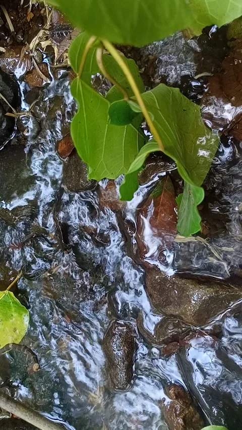 natural water flow flowing in the river | Stock Video | Pond5