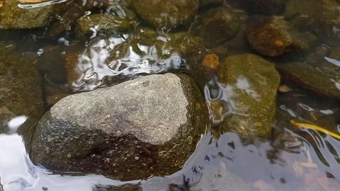 natural water flow flowing in the river | Stock Video | Pond5