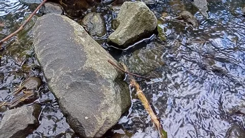 natural water flow flowing in the river | Stock Video | Pond5