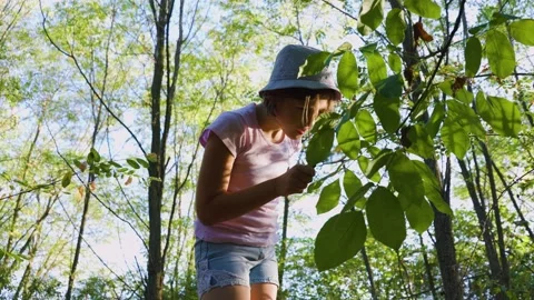 Naturalist In Stock Videos – Royalty-Free HD & 4K Videos | Pond5