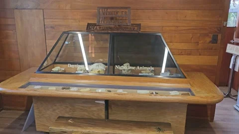 Nature Center Birds Snakes Reptiles Mamm... | Stock Video | Pond5