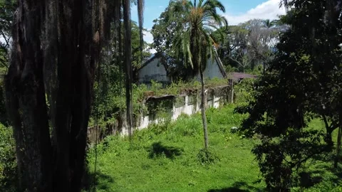 Fighting Vack Stock Videos – Royalty-Free HD & 4K Videos