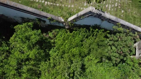 Back Fighting Stock Video Footage | Royalty Free Back Fighting Videos ...