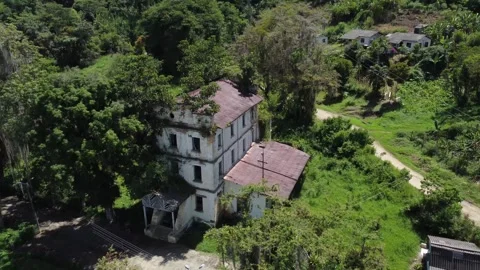 Fighting Vack Stock Videos – Royalty-Free HD & 4K Videos