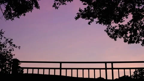 Nature Park Silhouette: Trees, Railing, ... | Stock Video | Pond5