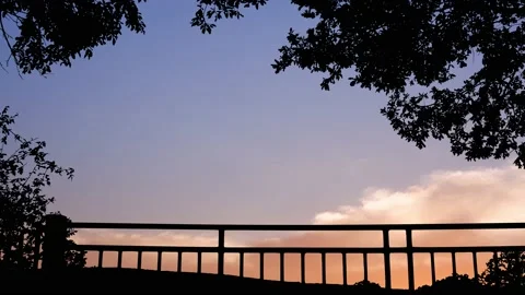 Nature Park Silhouette: Trees, Railing, ... | Stock Video | Pond5