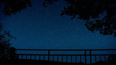 Nature Park Silhouette: Trees, Railing, ... | Stock Video | Pond5