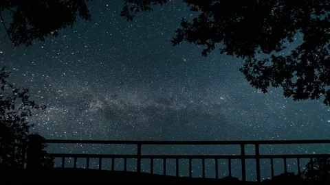 Nature Park Silhouette: Trees, Railing, ... | Stock Video | Pond5