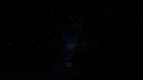 Nature Park Silhouette: Trees, Railing, ... | Stock Video | Pond5