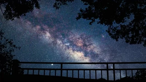 Nature Park Silhouette: Trees, Railing, ... | Stock Video | Pond5