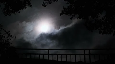 Nature Park Silhouette: Trees, Railing, ... | Stock Video | Pond5