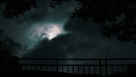 Nature Park Silhouette: Trees, Railing, ... | Stock Video | Pond5