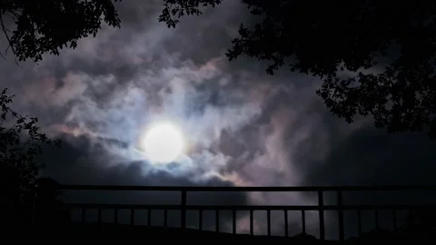 Nature Park Silhouette: Trees, Railing, ... | Stock Video | Pond5