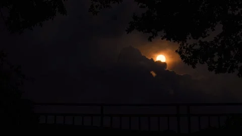 Nature Park Silhouette: Trees, Railing, ... | Stock Video | Pond5