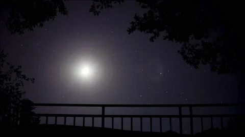 Nature Park Silhouette: Trees, Railing, ... | Stock Video | Pond5