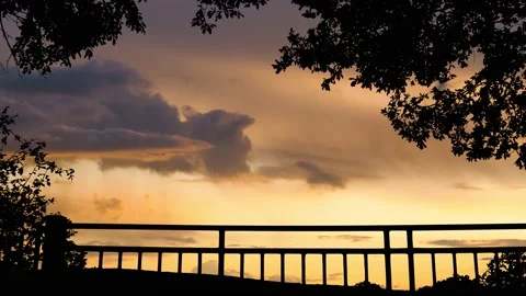 Nature Park Silhouette: Trees, Railing, ... | Stock Video | Pond5