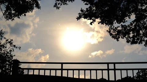 Nature Park Silhouette: Trees, Railing, ... | Stock Video | Pond5