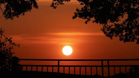 Nature Park Silhouette: Trees, Railing, ... | Stock Video | Pond5