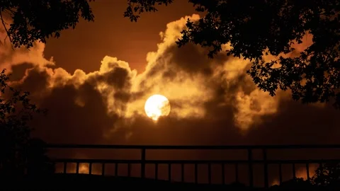 Nature Park Silhouette: Trees, Railing, ... | Stock Video | Pond5