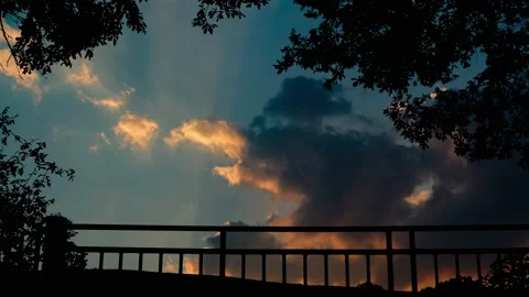 Nature Park Silhouette: Trees, Railing, ... | Stock Video | Pond5
