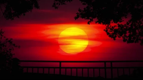 Nature Park Silhouette: Trees, Railing, ... | Stock Video | Pond5