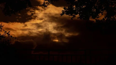 Nature Park Silhouette: Trees, Railing, ... | Stock Video | Pond5