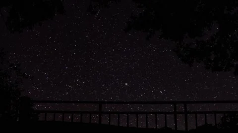 Nature Park Silhouette: Trees, Railing, ... | Stock Video | Pond5
