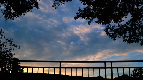 Nature Park Silhouette: Trees, Railing, ... | Stock Video | Pond5