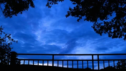 Nature Park Silhouette: Trees, Railing, ... | Stock Video | Pond5