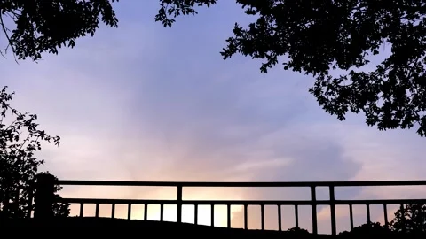 Nature Park Silhouette: Trees, Railing, ... | Stock Video | Pond5